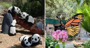 San Antonio Zoo Installed Life-Sized LEGO Animal Replicas Using ...