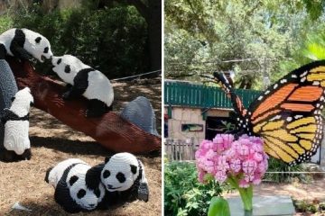 Designer Helen Sham Has Created A Fully-Functional Hasselblad 503CX ...