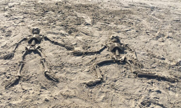 This Toy Skeleton Mold Kit Lets You Build A Sand Skeleton