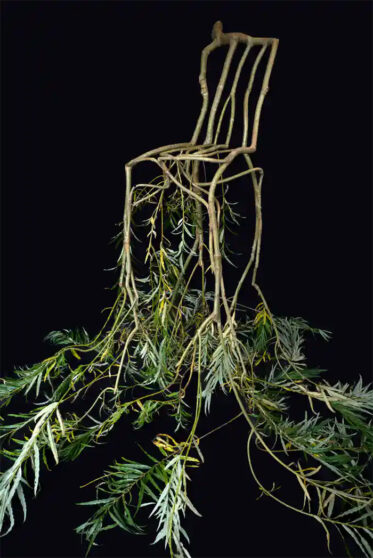Designer Creatively Grows And Shapes Trees Straight Into Furniture