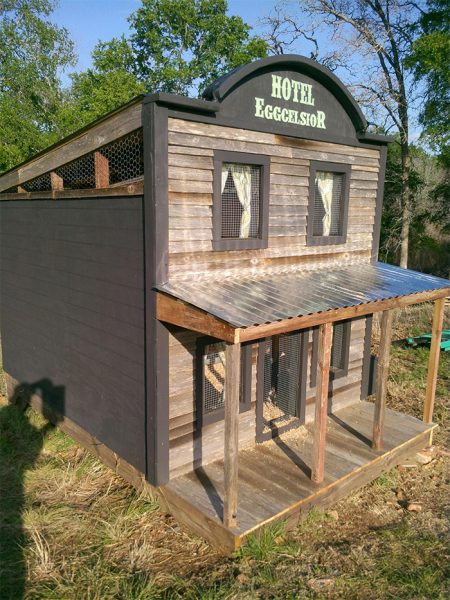30 Chicken Coop Designs That Look Better Than The House