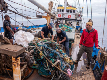 Hawaiian Crew Set New Record For Largest Haul Of Ocean Plastic Removed ...