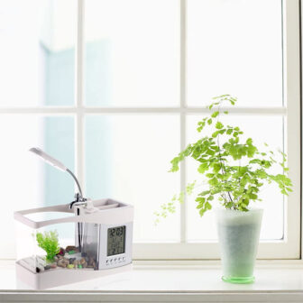 You Can Get A USB Powered Mini Aquarium For Your Desk At Work