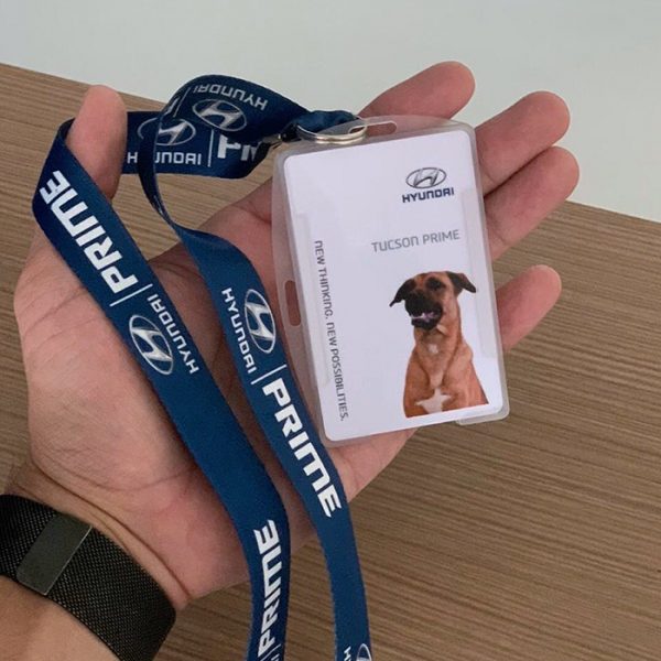 Stray Dog Constantly Visits Hyundai Dealership So They Hired Him And ...