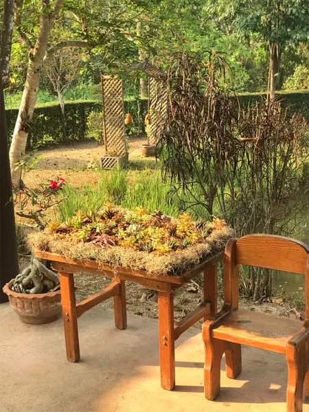 People Have Been Turning Their Tables Into Succulent Gardens And It's ...