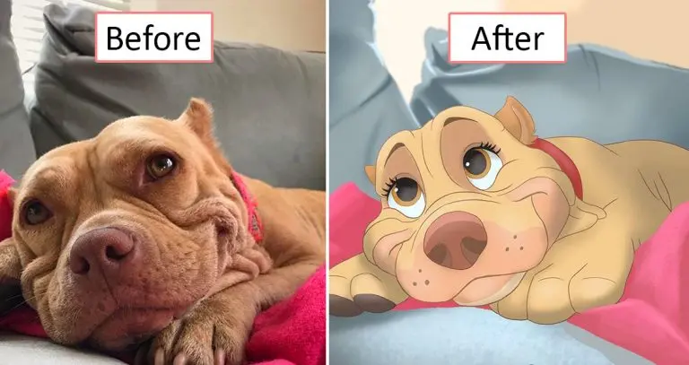 Brodie Had A Rough Start In Life After His Face Was Disfigured But He's ...