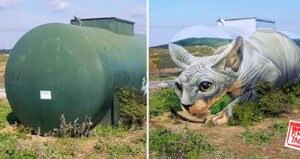 Talented Street Artist Turns Old Gas Tank Into Incredible Sphynx Cat ...