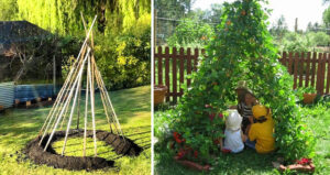 People Have Been Growing Bean Pole TeePees In Their Garden And Kids ...