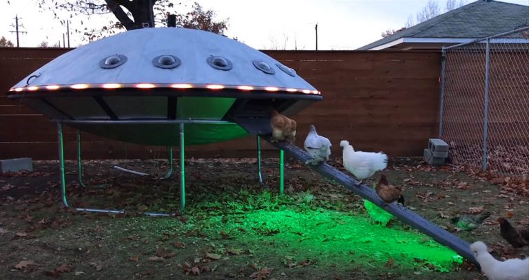 Man Builds UFO Chicken Coop And Posts The Video Online
