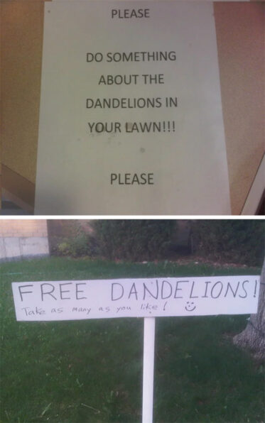 50 Funny Neighbors Who Made The Neighborhood A Little Less Dull