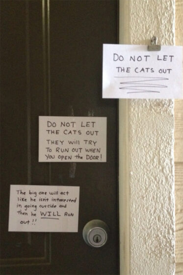 50 Funny Neighbors Who Made The Neighborhood A Little Less Dull
