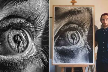 Artist Kay Lee Creates Striking Drawings Using White Pencil On Black Paper