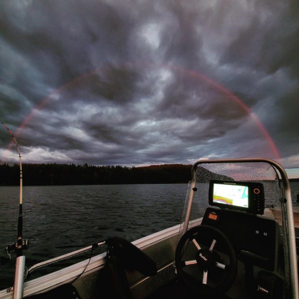 People Are Sharing Interesting Things They’ve Seen In Nature