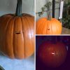 This Jack-O’-Lantern’s Tiny Face Pumpkin Might Just Be The Laziest But ...