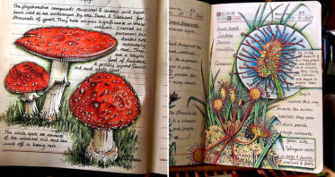 While Outdoors, Illustrator Jo Brown Documents The Things She Finds In ...