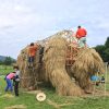 People Create Giant Straw Sculptures At Japan’s Annual Wara Art Festival