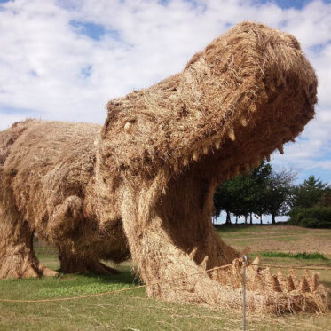 People Create Giant Straw Sculptures At Japan’s Annual Wara Art Festival