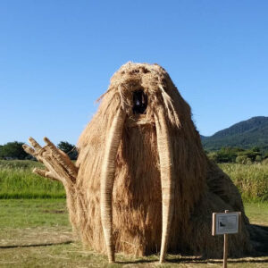 People Create Giant Straw Sculptures At Japan’s Annual Wara Art Festival