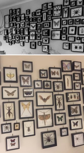 People Are Sharing Photos Of Unusual And Strange Collections