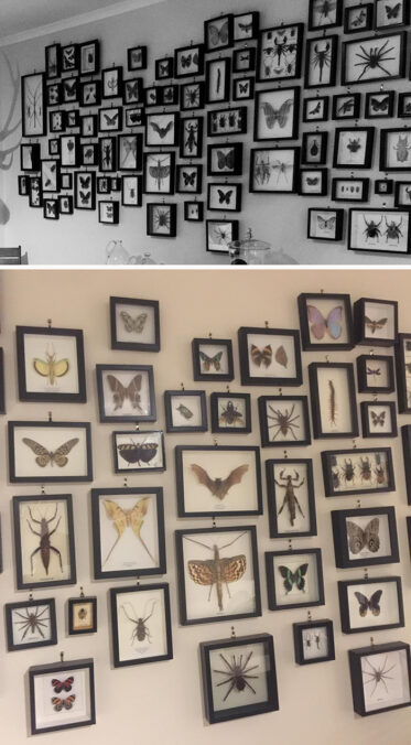 People Are Sharing Photos Of Unusual And Strange Collections