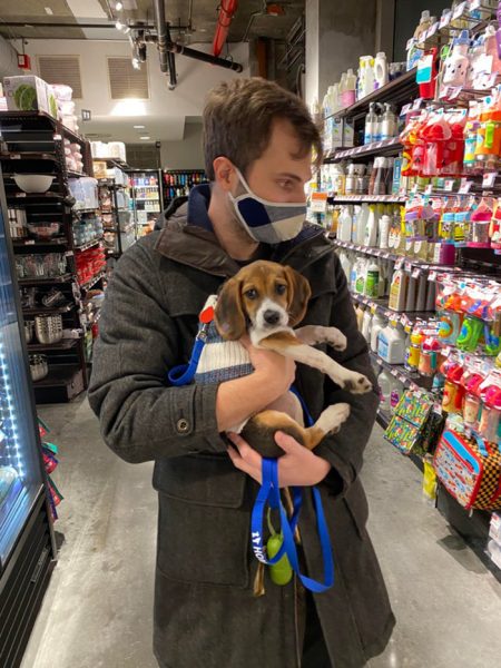 Heartwarming Rescue Pet Photos That Will Tug At Your Heartstrings