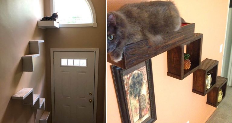 These Floating Cat Stairs Provide A Stylish Route To Their Floating Cat ...