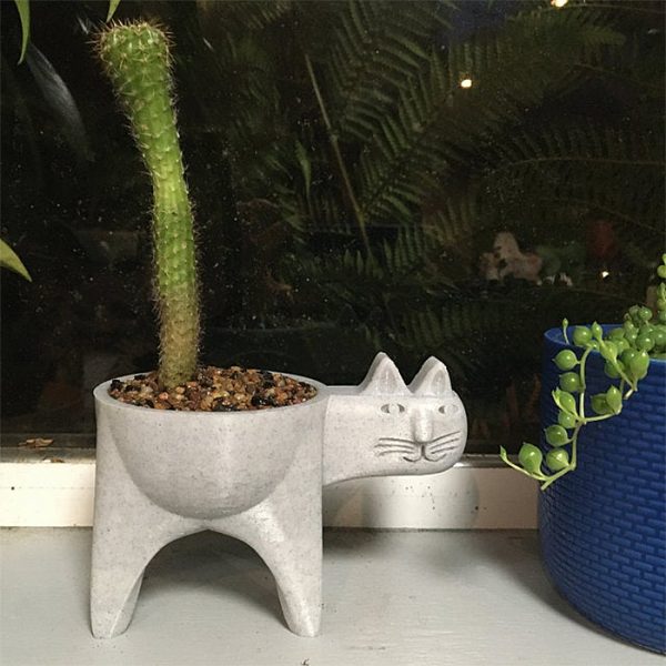 This Cute Cat Planter Is The Purrfect Place To Grow A Cactus