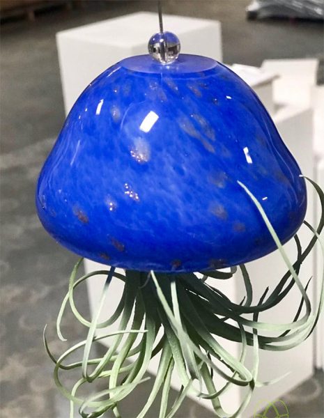 It's Easy To See Why These Cute Glass Jellyfish Air Planters Are ...