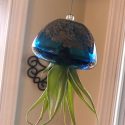 It's Easy To See Why These Cute Glass Jellyfish Air Planters Are ...