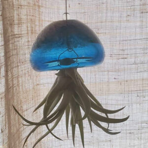 It's Easy To See Why These Cute Glass Jellyfish Air Planters Are ...