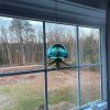 It's Easy To See Why These Cute Glass Jellyfish Air Planters Are ...