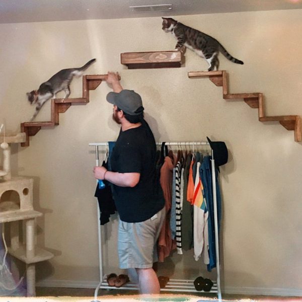 These Floating Cat Stairs Provide A Stylish Route To Their Floating Cat ...