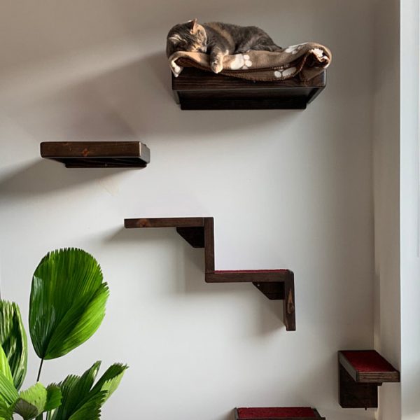 These Floating Cat Stairs Provide A Stylish Route To Their Floating Cat ...