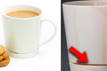 Coca-Cola With Coffee Is Coming To Stores This Year In 3 Different Flavors