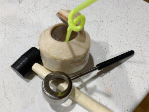 This Coconut Opening Kit Can Gain Access To Coconut Water In Seconds