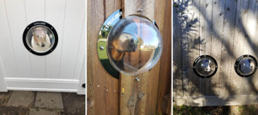 This Dog Fence Bubble Window Lets Your Pup Be As Nosy As They Want