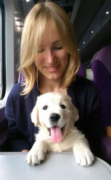 25+ Pets Traveling That Were Better Behaved Than A Lot Of People