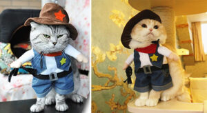 This Cowboy Cat Costume Turns Your Kitty Into The Cutest Gunslinger In ...