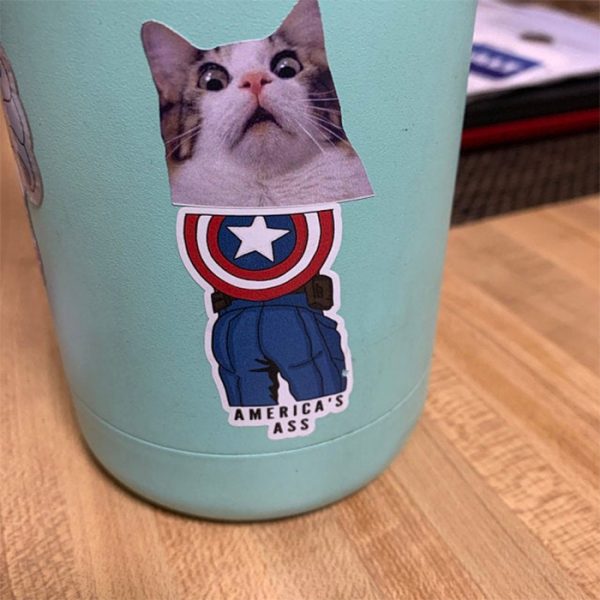 Cat Meme Car Sticker