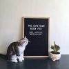 30 Cat Warning Signs Owners Had To Put Up For One Reason Or Another