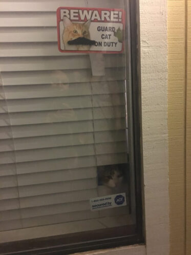 30 Cat Warning Signs Owners Had To Put Up For One Reason Or Another