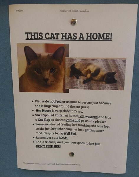 30 Cat Warning Signs Owners Had To Put Up For One Reason Or Another