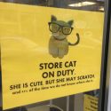 30 Cat Warning Signs Owners Had To Put Up For One Reason Or Another