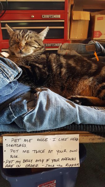 30 Cat Warning Signs Owners Had To Put Up For One Reason Or Another