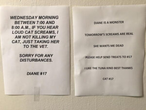 30 Cat Warning Signs Owners Had To Put Up For One Reason Or Another