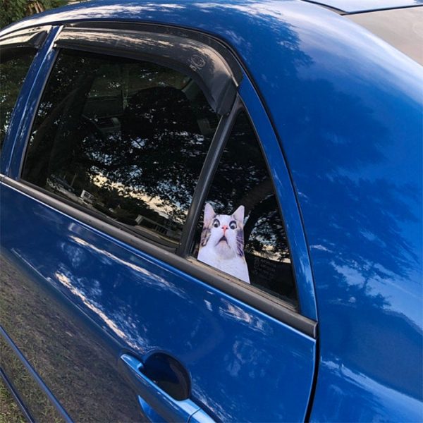 Cat Meme Car Sticker