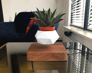 This Levitating Planter Allows You To Grow Your Favorite Plant In Mid-Air
