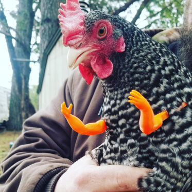 Adding Chicken Arms Make It Seem Like They Want To Fight