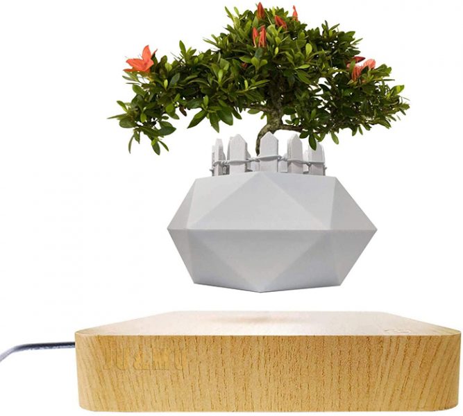 This Levitating Planter Allows You To Grow Your Favorite Plant In Mid-Air