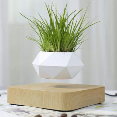This Levitating Planter Allows You To Grow Your Favorite Plant In Mid-Air